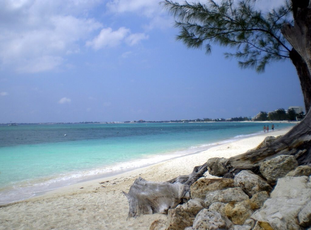 Neil Kendra Beach - The Best of India